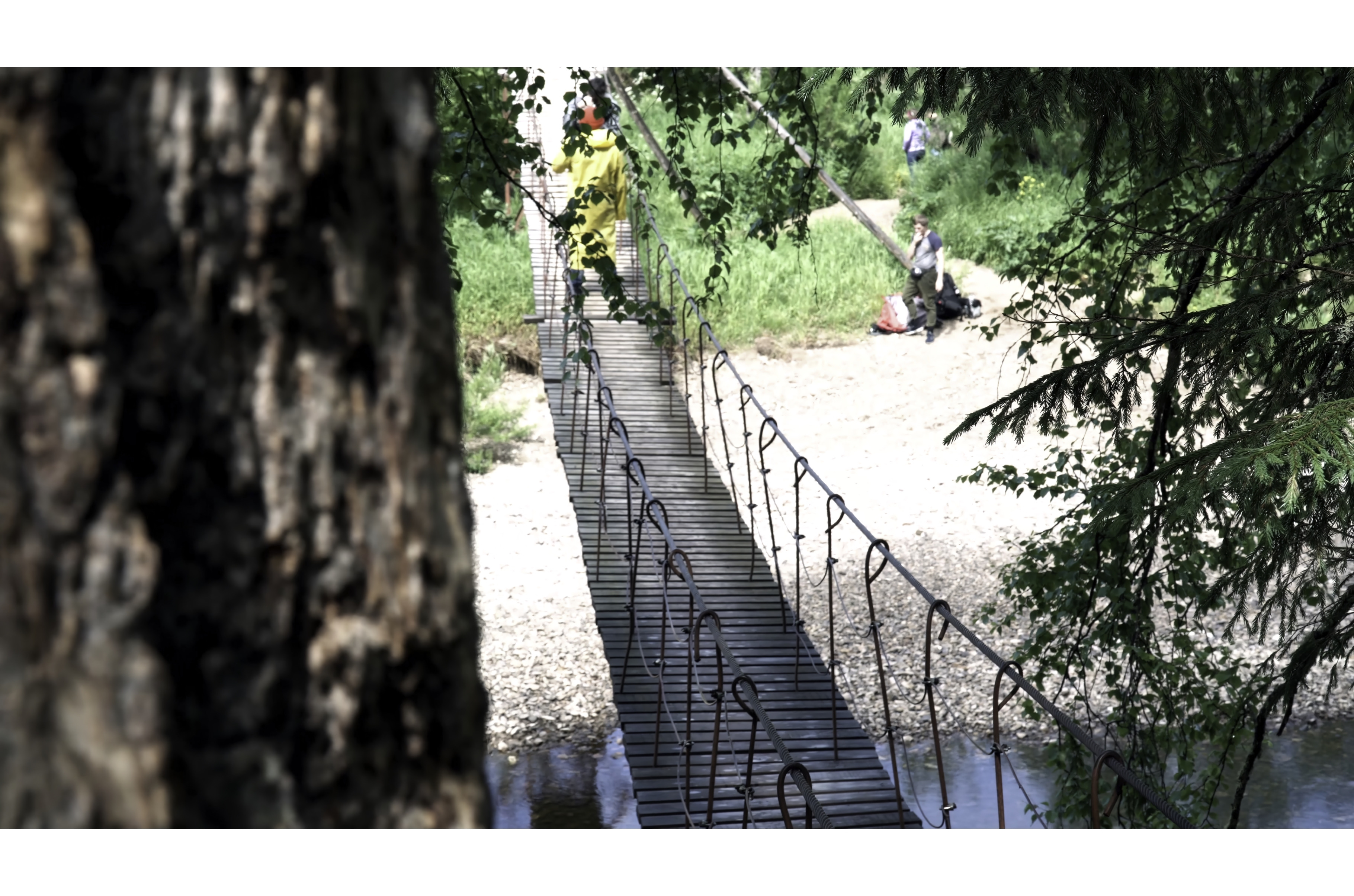 Tourists explore area by river for, a Background Graphic by Media Whale ...