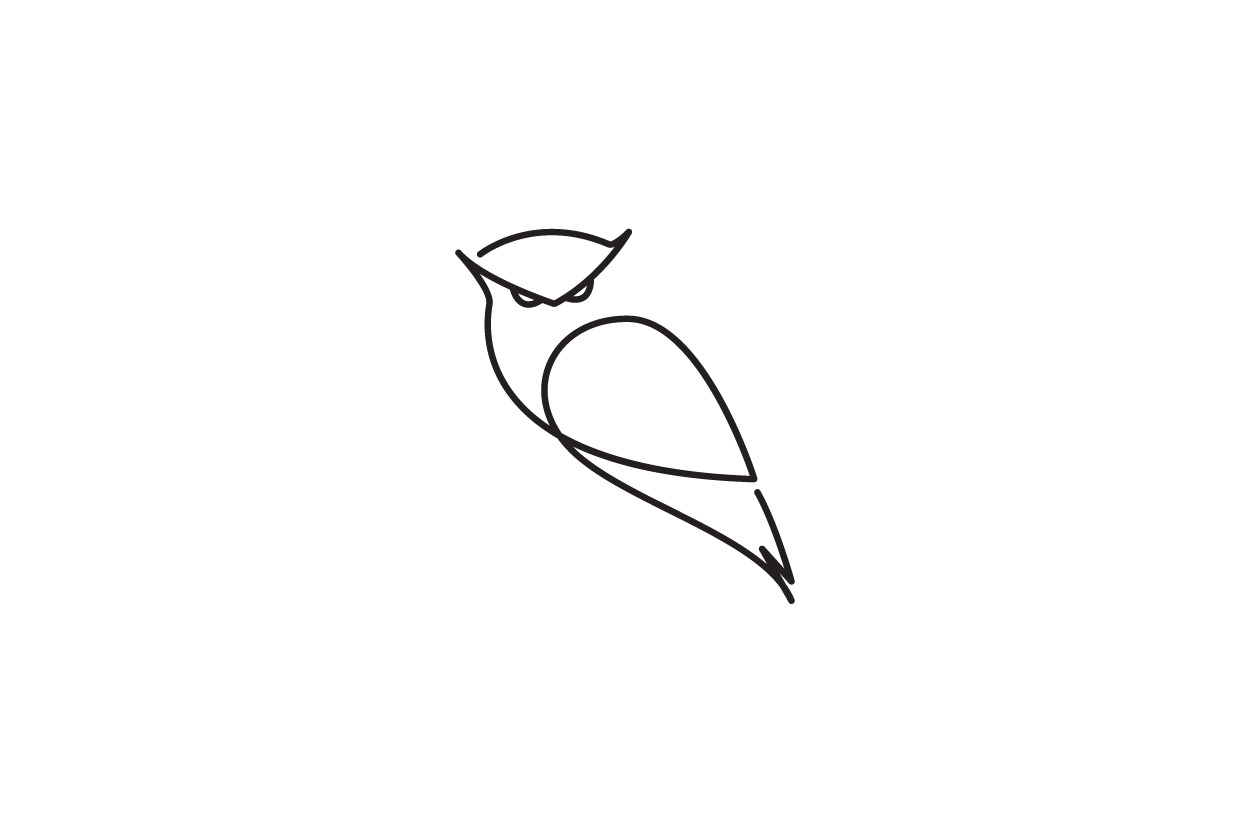 continuous lines bird owl logo vector