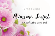 Primrose Script, a Script Font by JuanaLetter