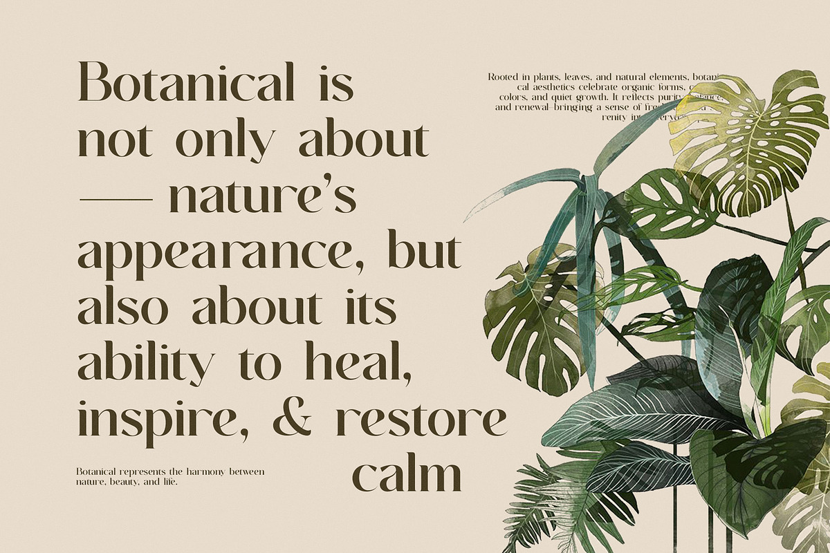 Magin Elegant Serif Font By Perfectype