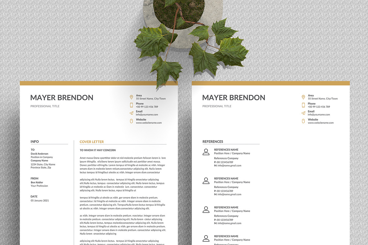 Resume/CV - 4 set, a Resume Template by Designs Bird