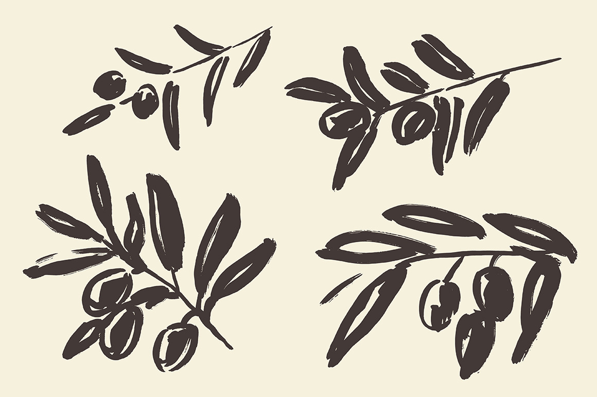 Ink painted olive tree branches, a Decorative Illustration by ...