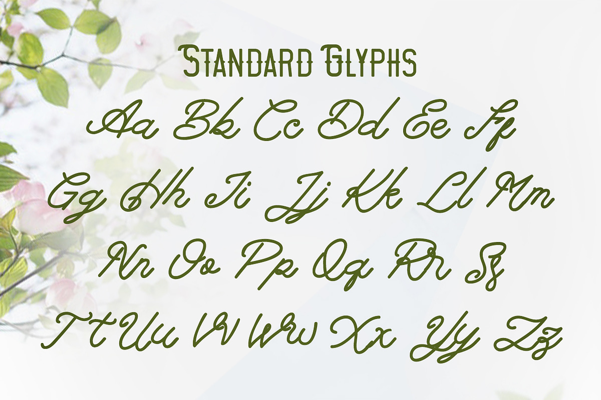 Anthalucya vintages monoline font, | Creative Market