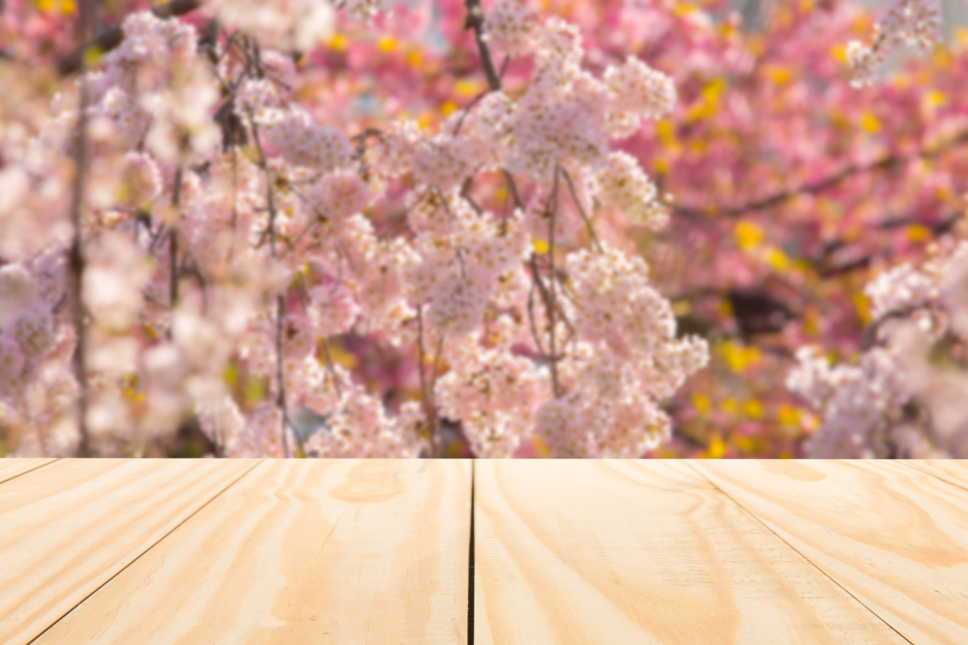 Wood table top on sakura flower | Product Mockups ~ Creative Market