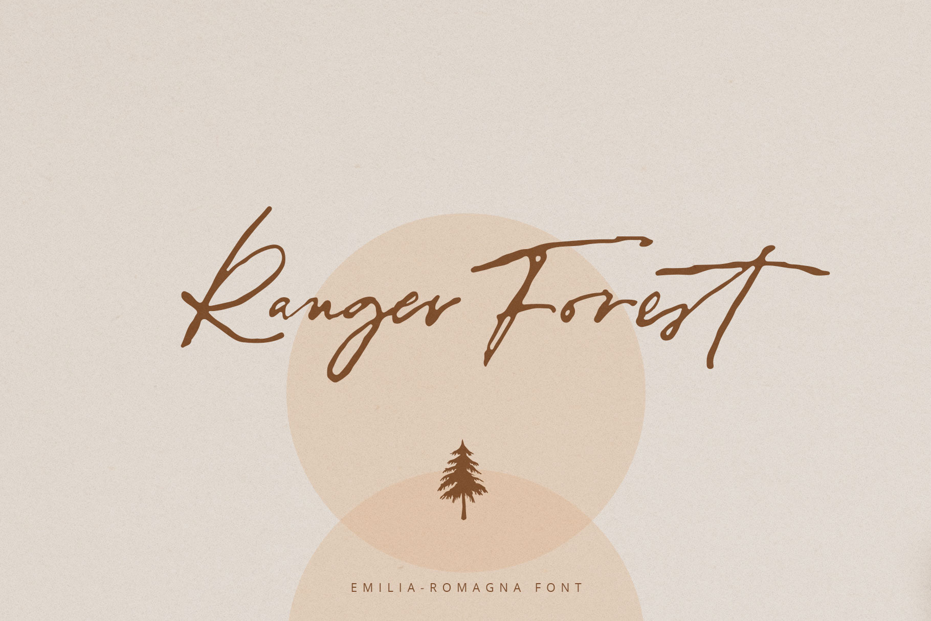 Emilia-Romagna Script Font, a Script Font by Creativeqube Design ...