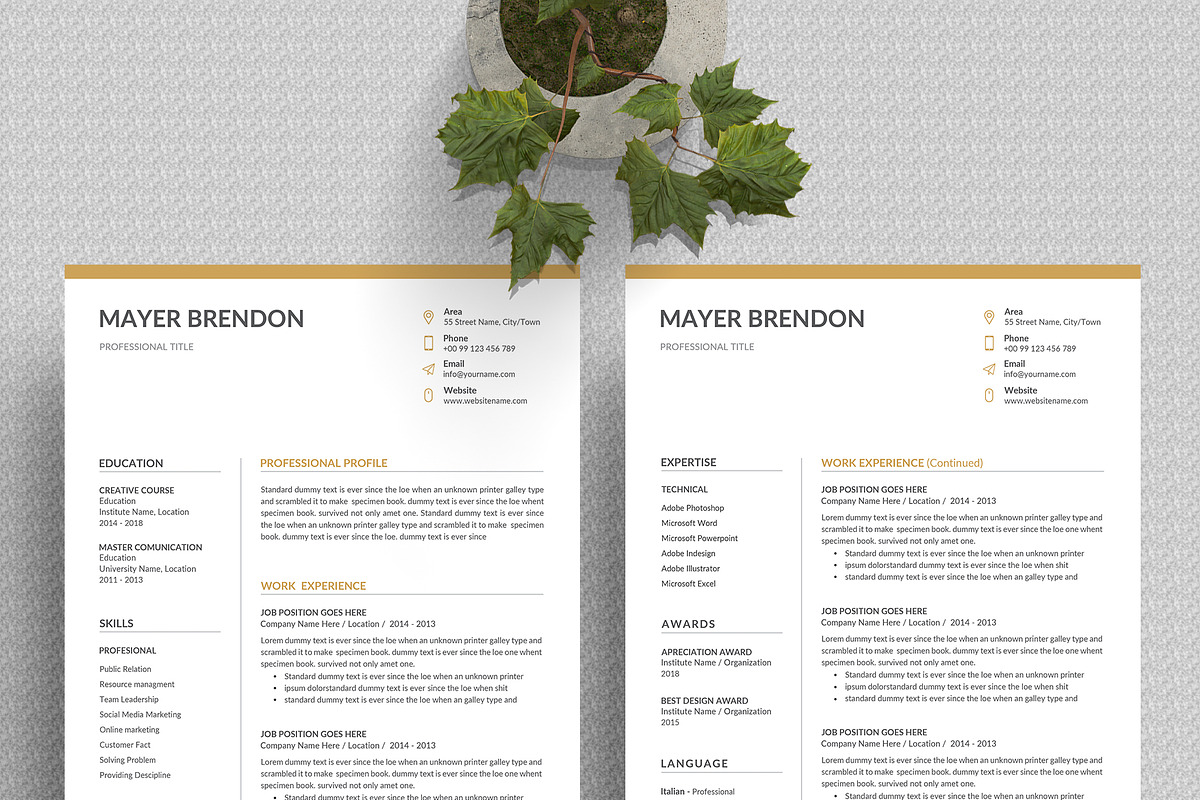 Resume/CV - 4 Page, a Resume Template by Designs Bird