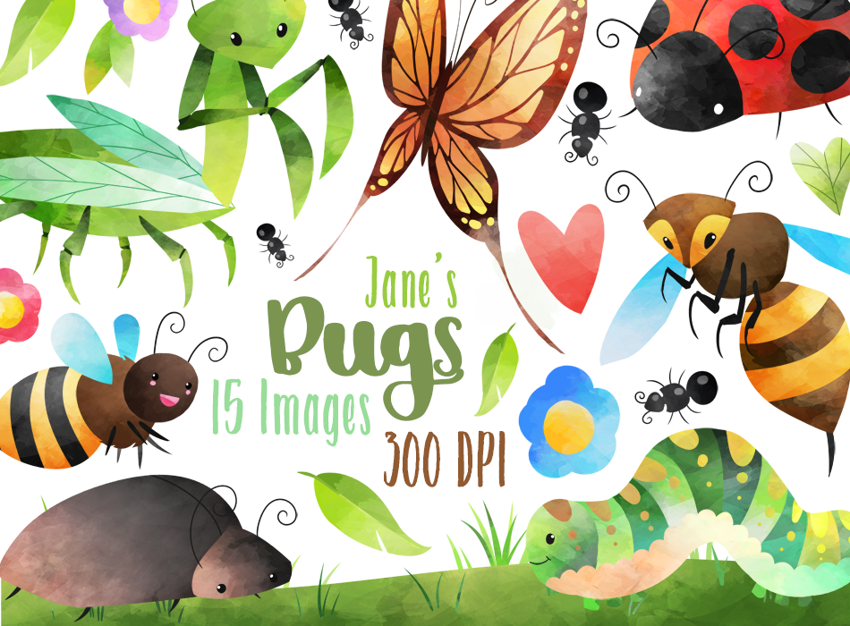Watercolor Bugs Clipart, an Illustration by DigitalArtsi