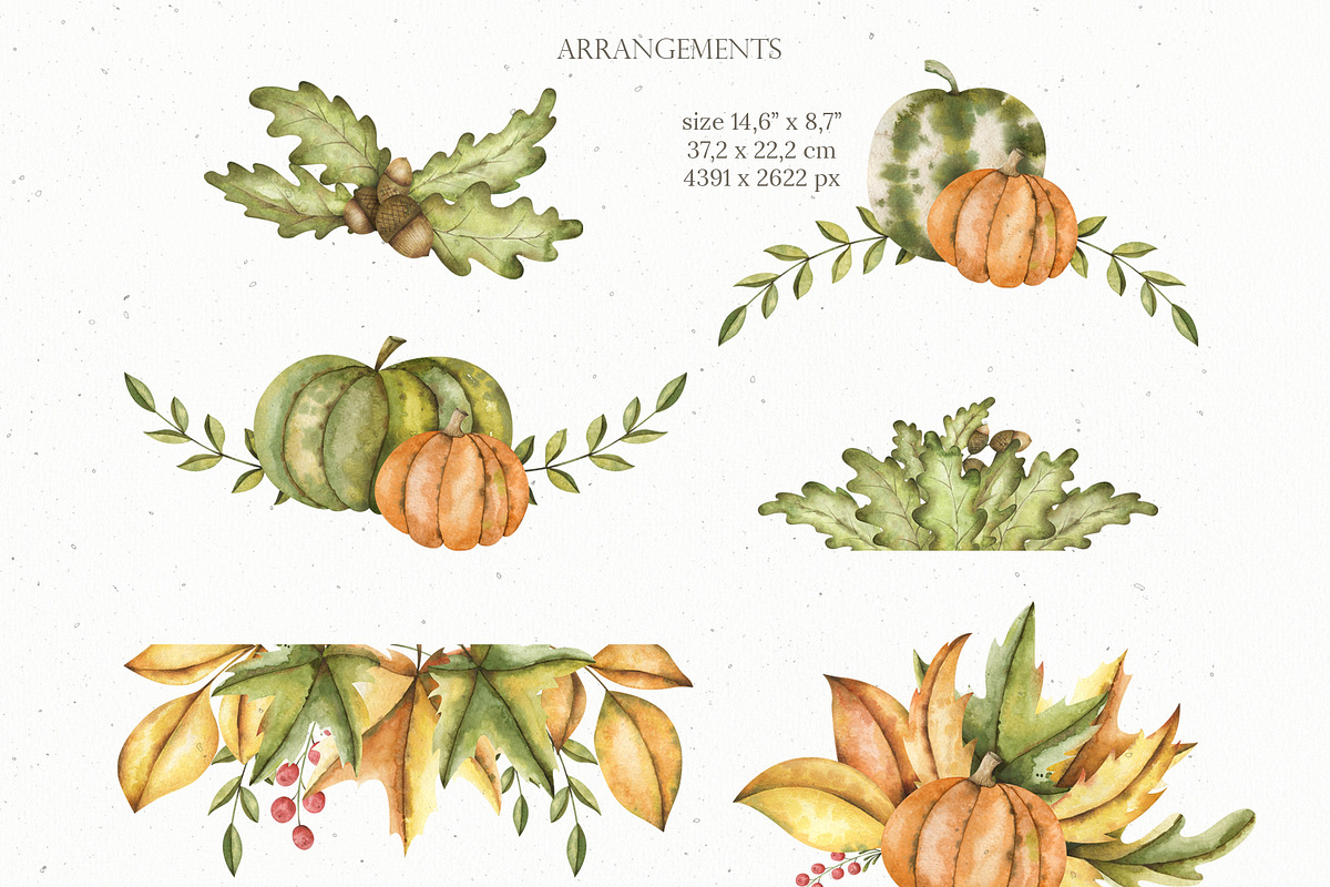 Watercolor Cute Thanksgiving Set