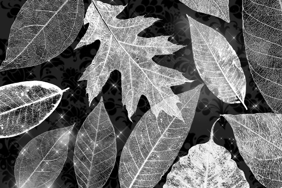 White Leaf Skeleton Overlays, an Object Graphic by Digital Curio