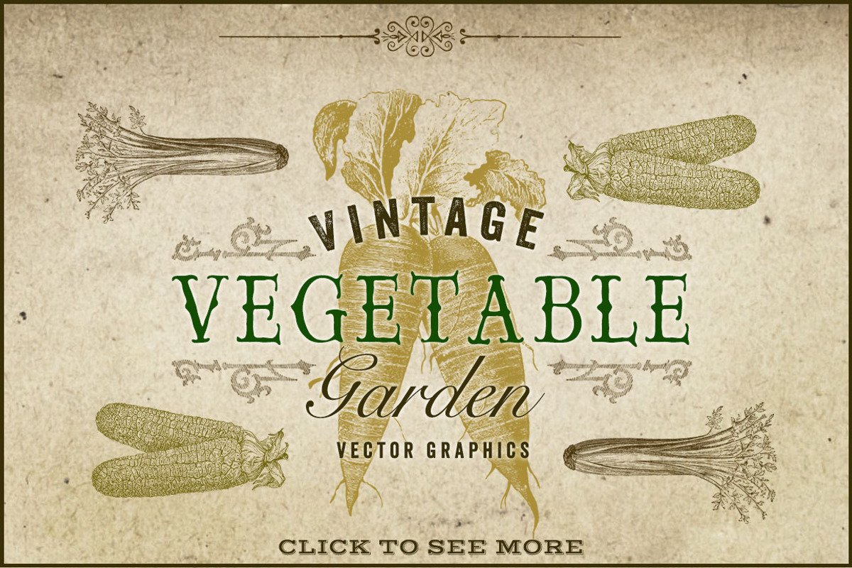 Vintage Vegetable Garden Graphics, an Object Graphic by Eclectic Anthology