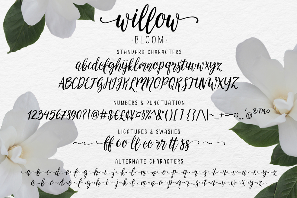 Willow Bloom modern calligraphy font, a Script Font by Angele Kamp
