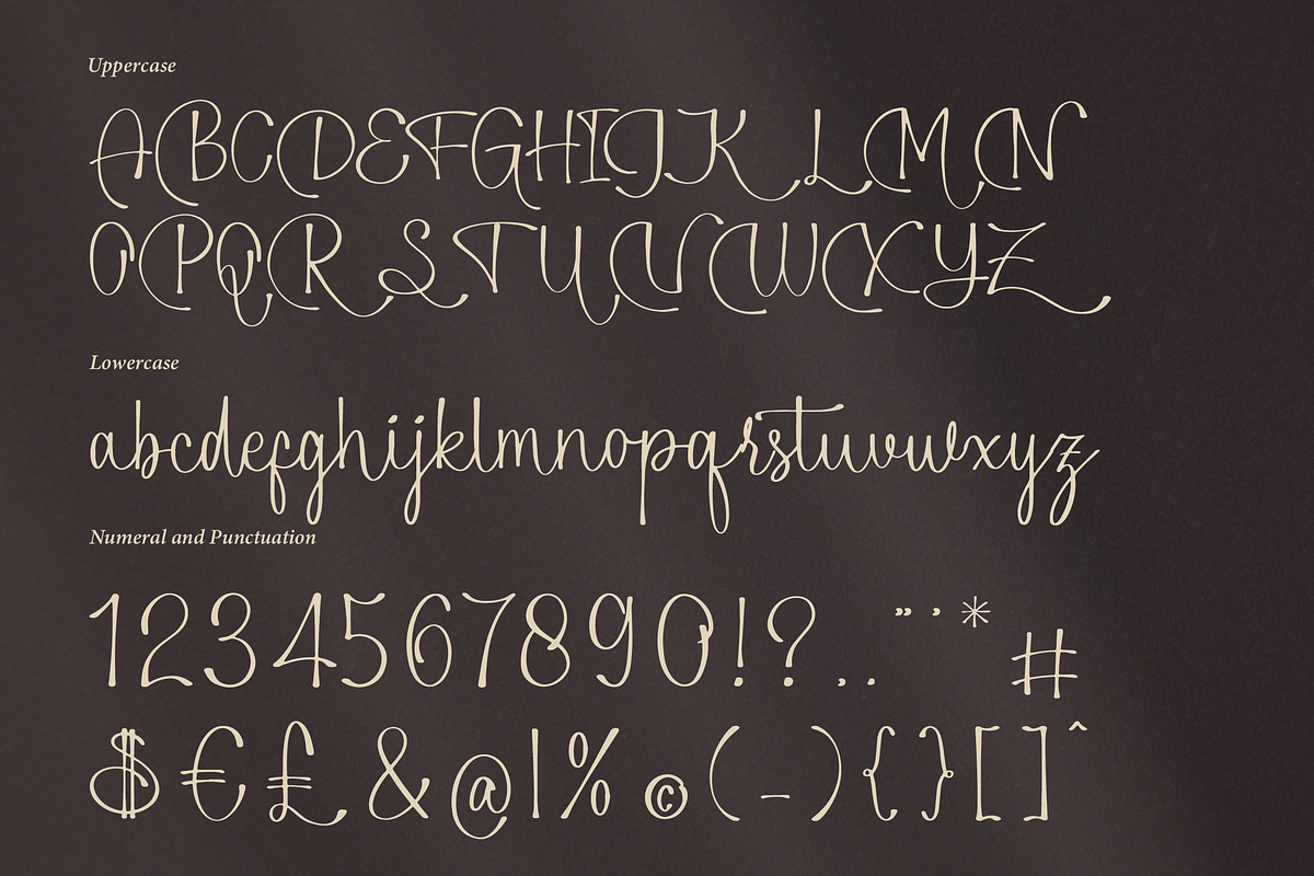 Alphiness | Handwritten Script Font, a Script Font by Denustudios