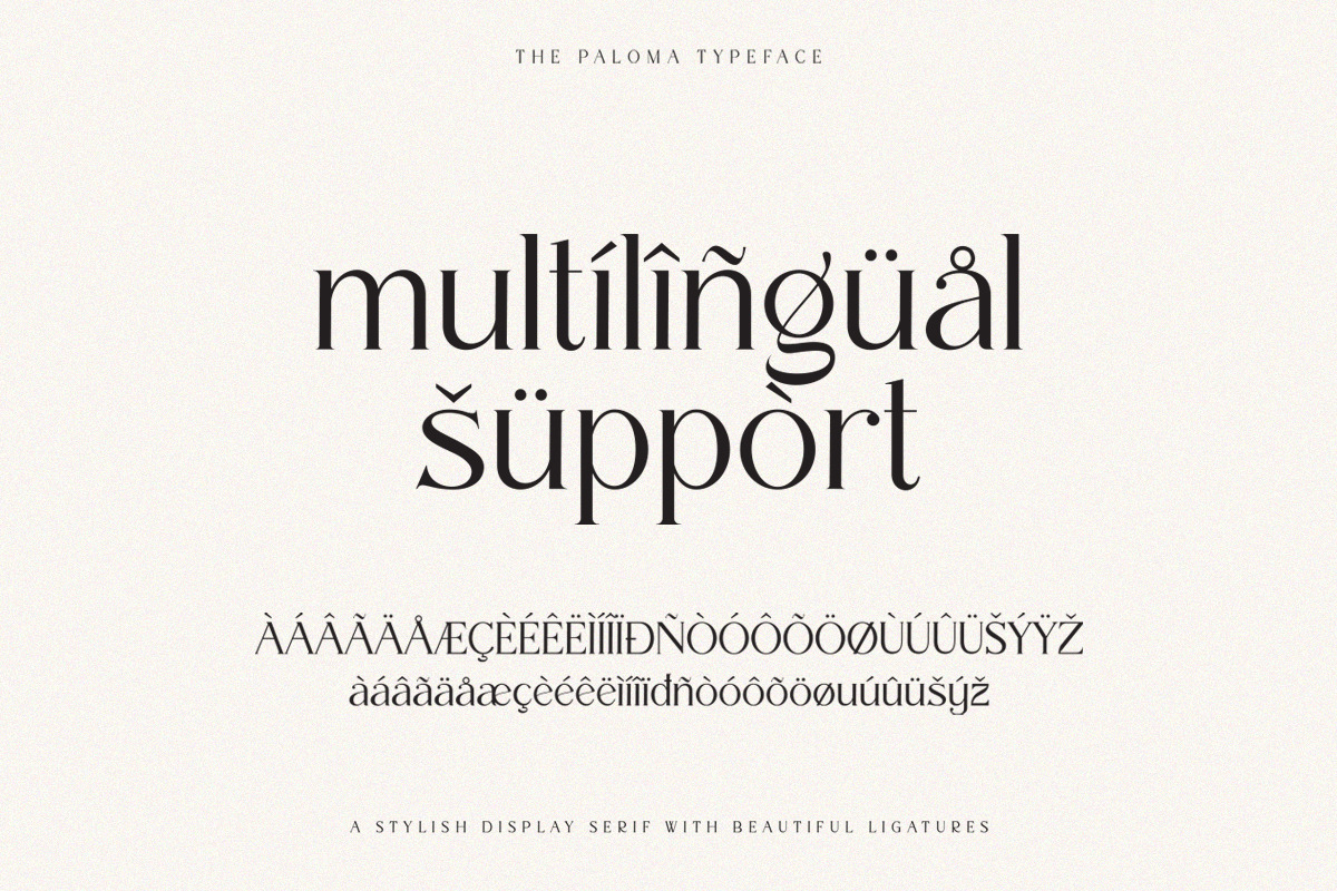 The Paloma - Modern Serif Font, a Serif Font by TypeFounder