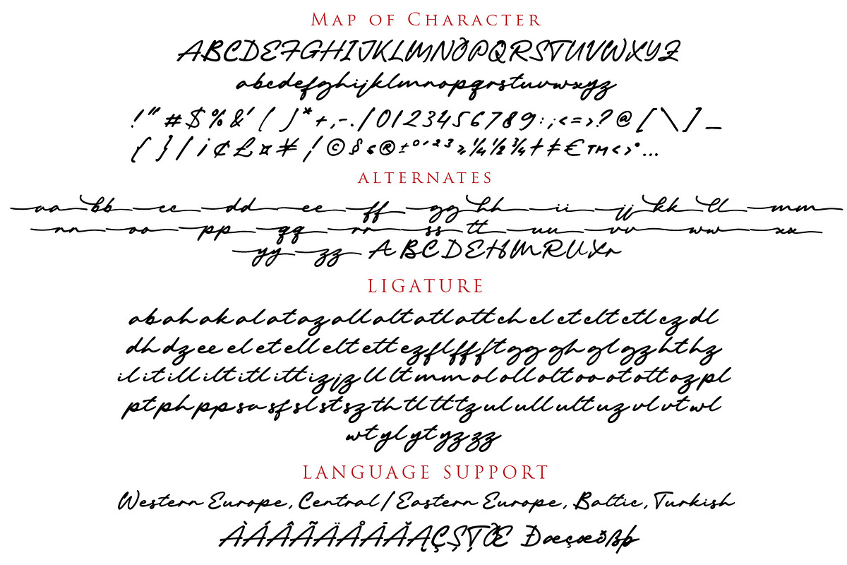 Michigan Signature, a Script Font by Cititype