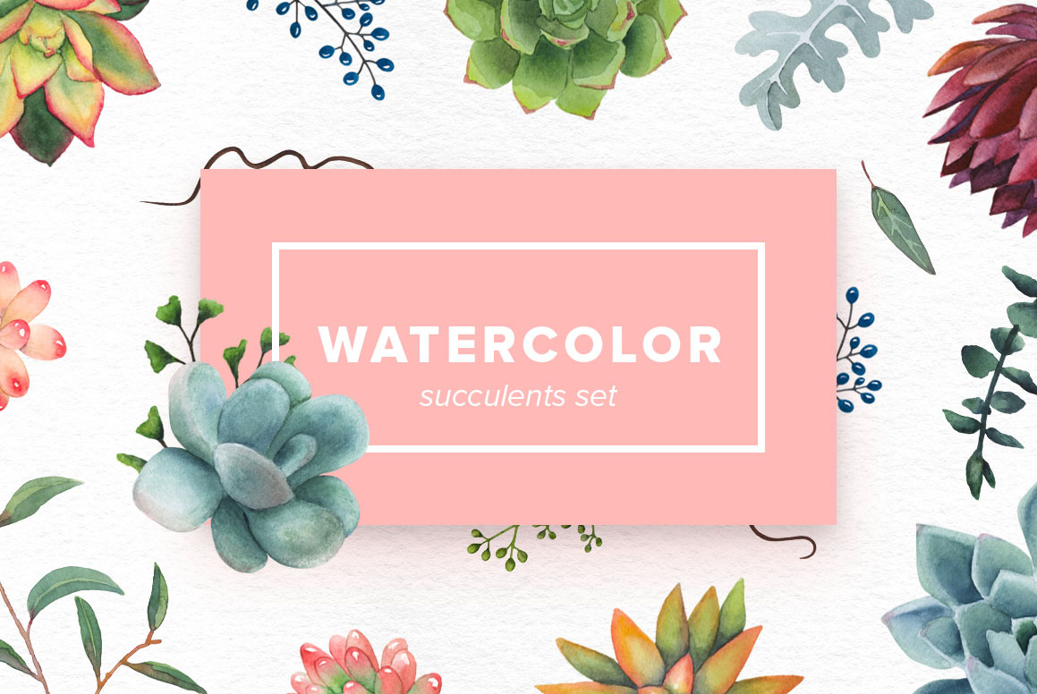 Watercolor Succulents Set, an Object Graphic by Kotulska | Creative Market