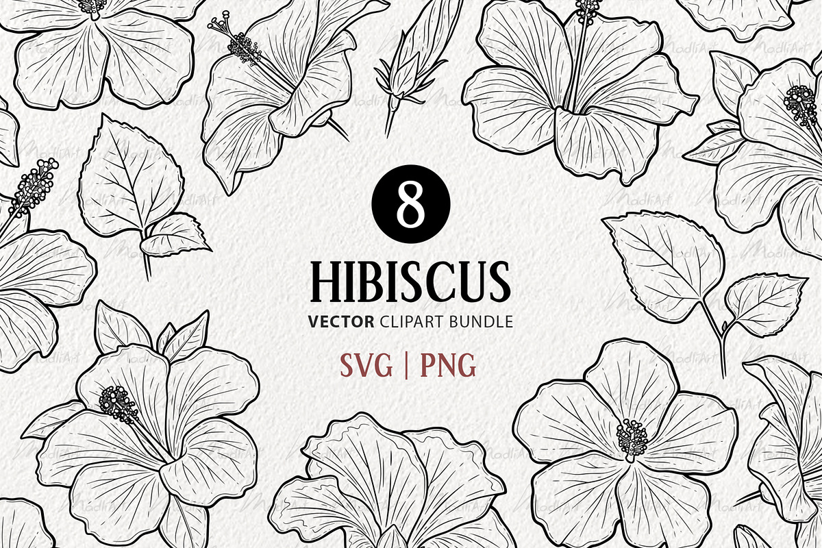 hibiscus vector art