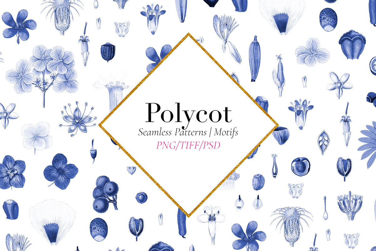 POLYCOT Exquisite collectibles!, a Pattern Graphic by TSTUDIO