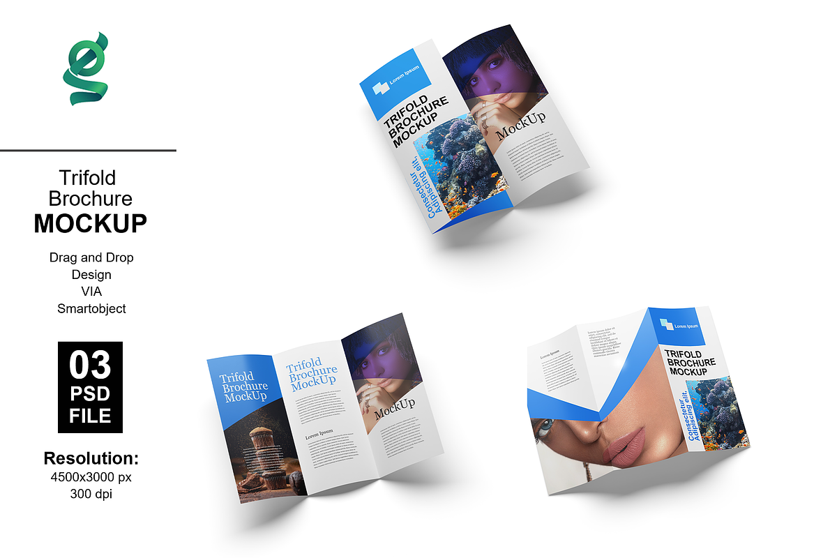 Trifold Brochure Mockup, a Books & Magazine Mockup by groens