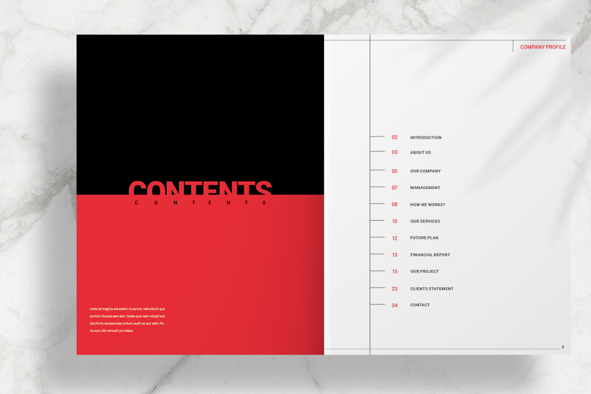 Red and Black Company Profile Layout, a Brochure Template by Boris Cupac