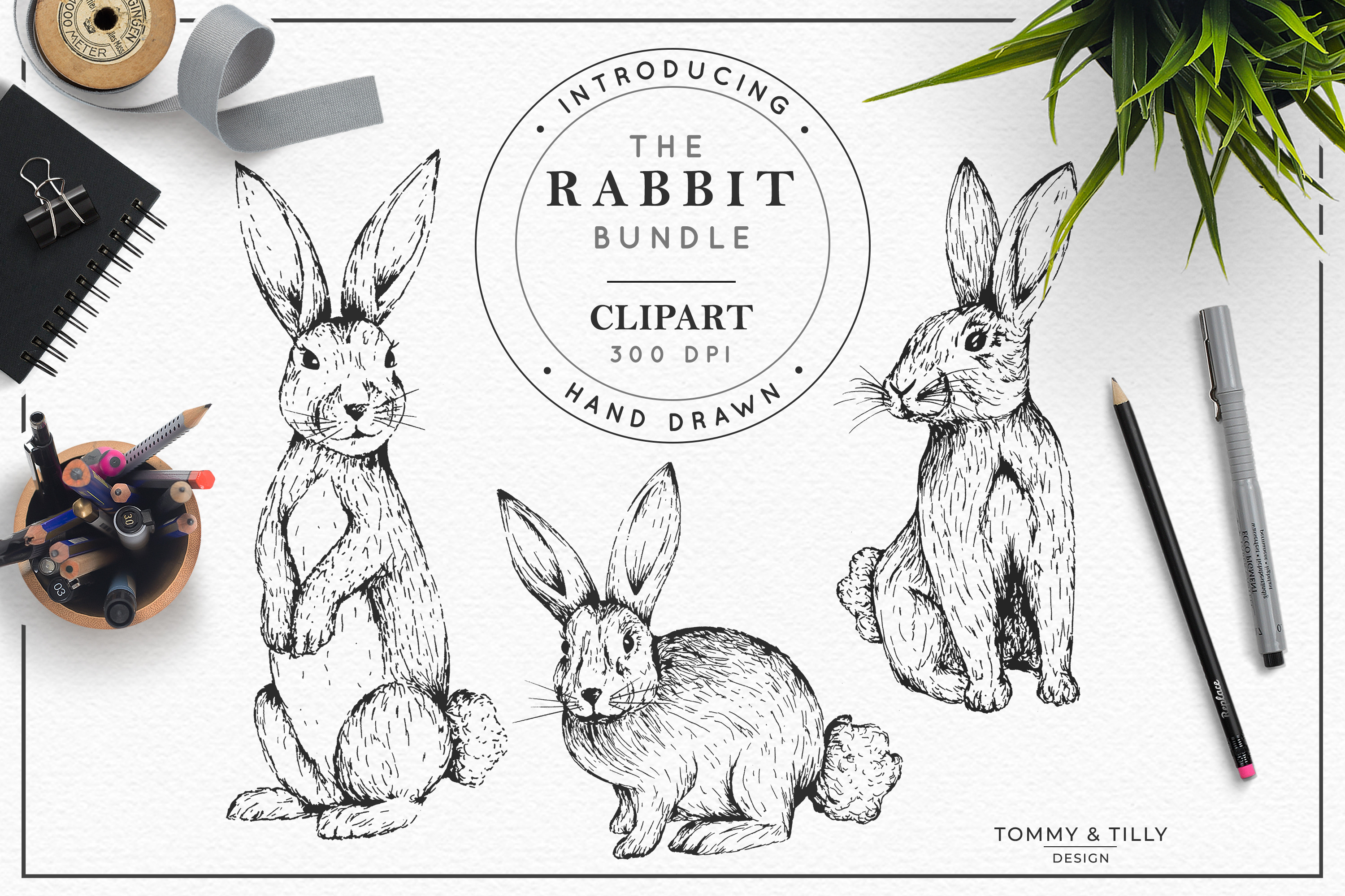 Hand Drawn Rabbits - Clipart Bundle, an Illustration by Tommy & Tilly ...