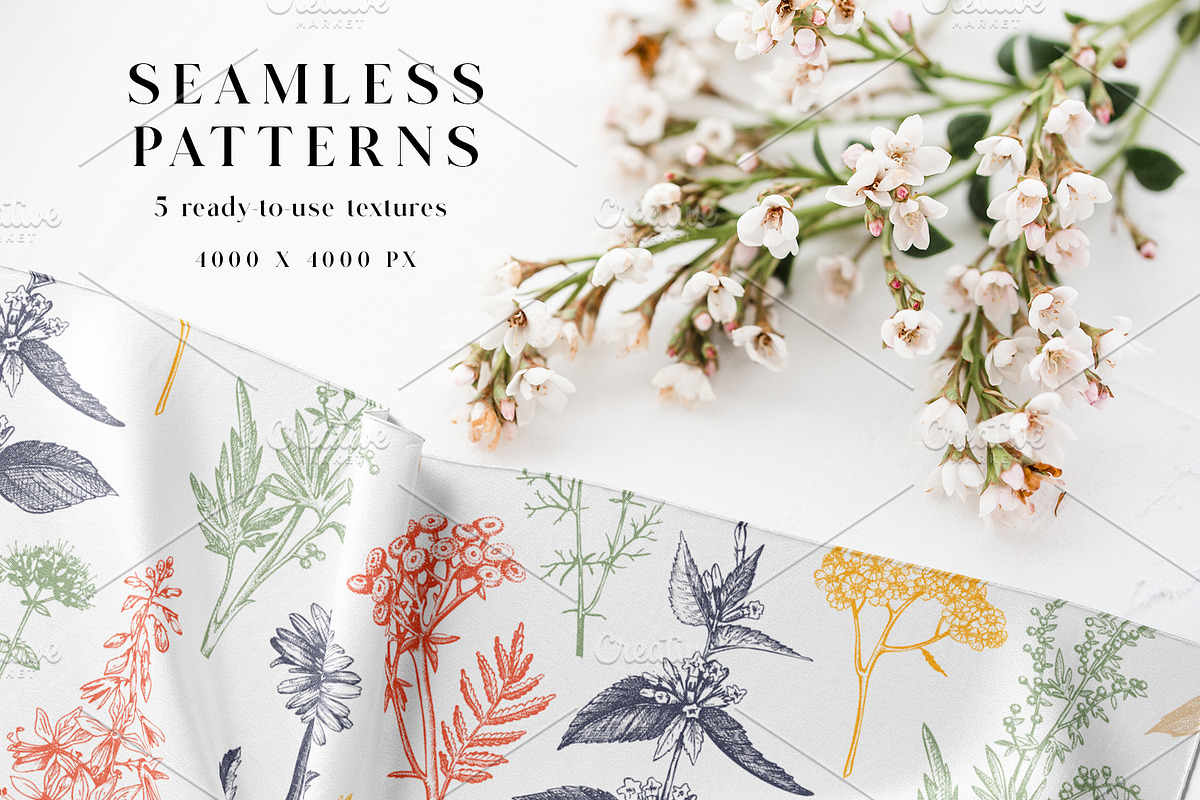 Medicinal Herbs Vector Bundle