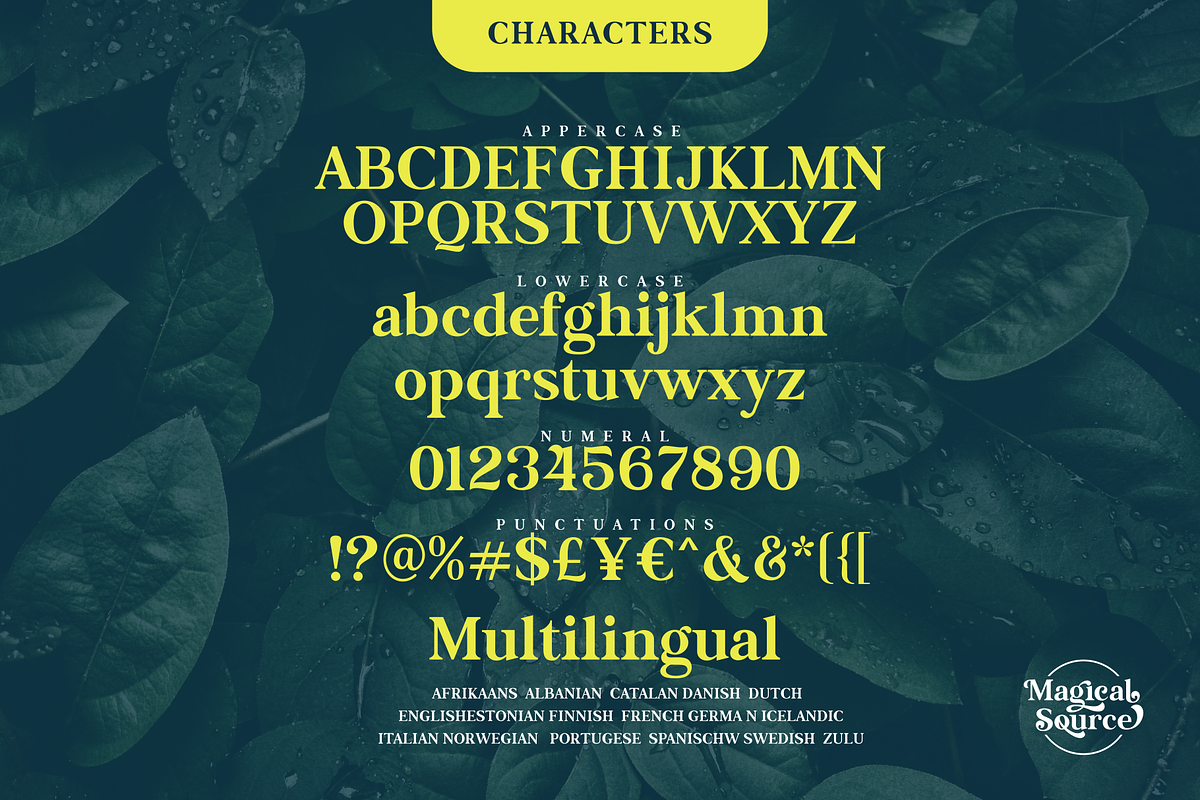 Magical Source - Stylish font, a Serif Font by Java pep