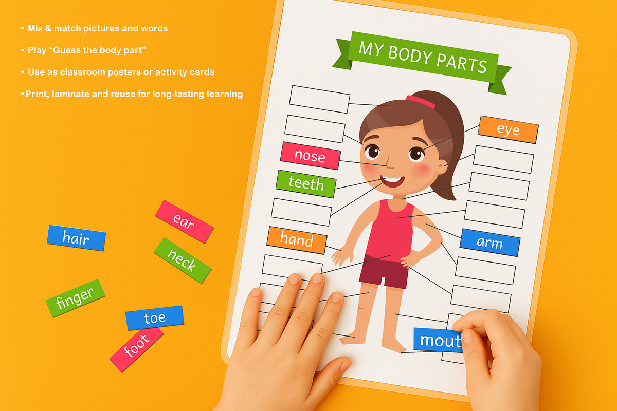 My Body Parts Printable worksheets