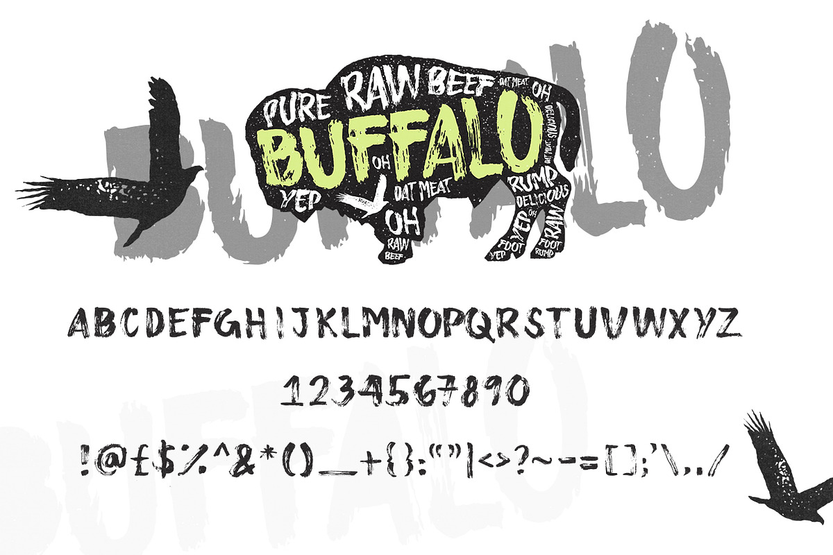 Buffalo - Display Typeface, a Font by Layerform Design Co.