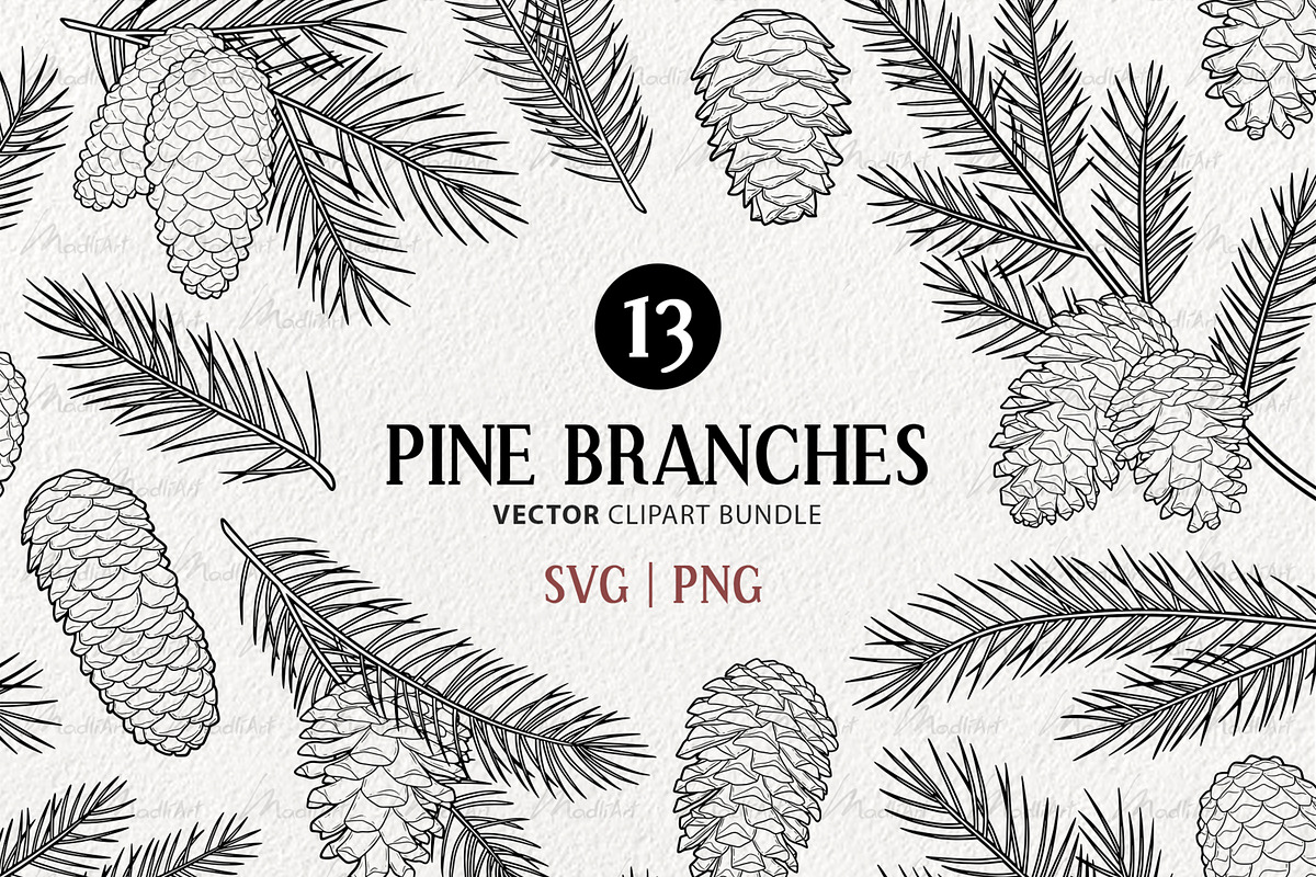 Pine & Pinecone Vector Line Art Set, an Illustration by MadliArt