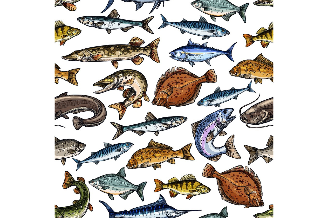 Fish seamless pattern for seafood design, an Animal Illustration by ...