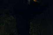 Marakoopa cave in mayberry mole cre featuring tasmania, caves, and cave ...