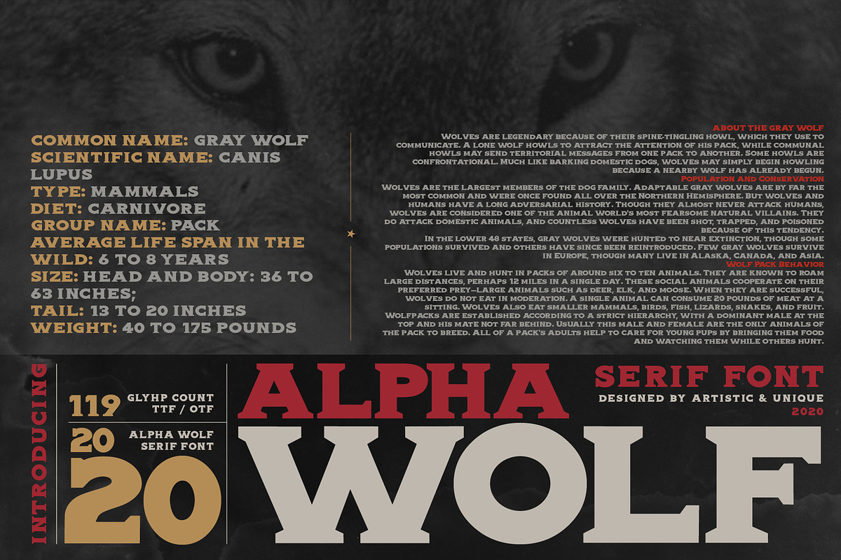 Alpha wolf - Serif font, a Serif Font by Artistic & Unique