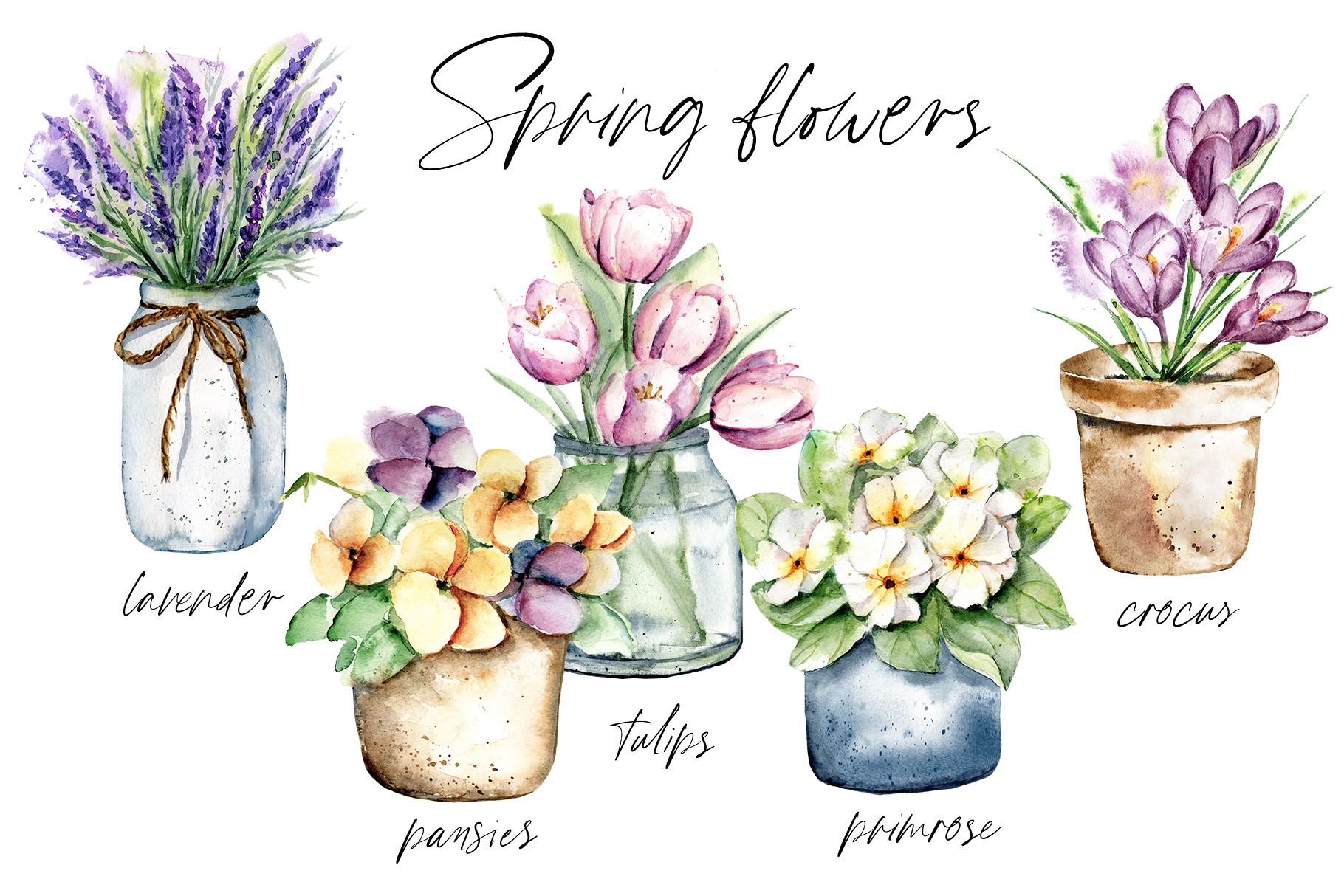 Spring watercolor flowers in pots