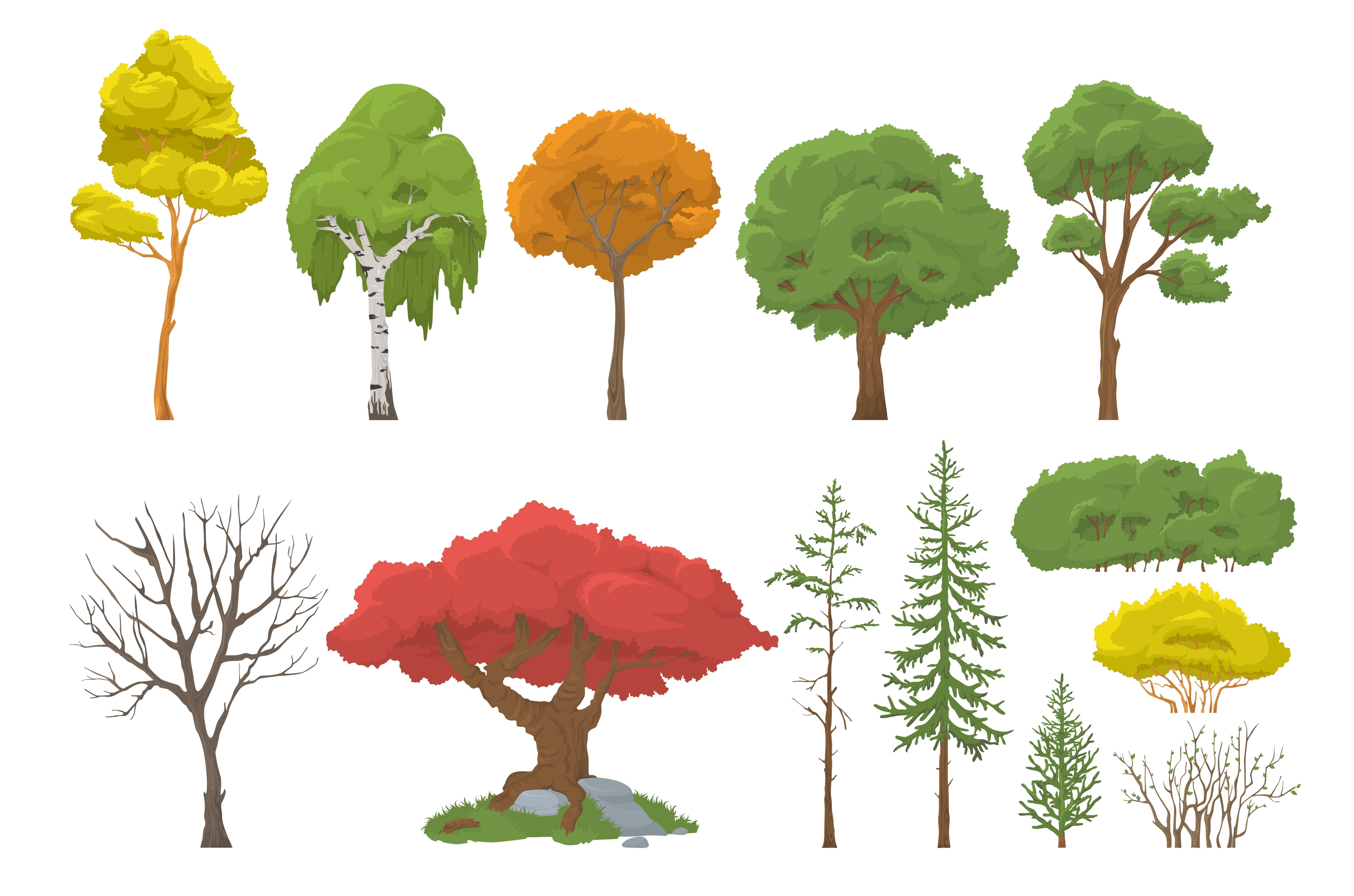 Forest, garden trees, bushes, shrubs, an Illustration by Siberian Art ...