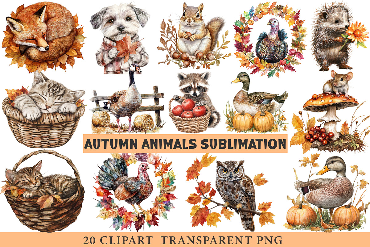 Autumn Animals Clipart, Fall Clipart, an Animal Illustration by ...