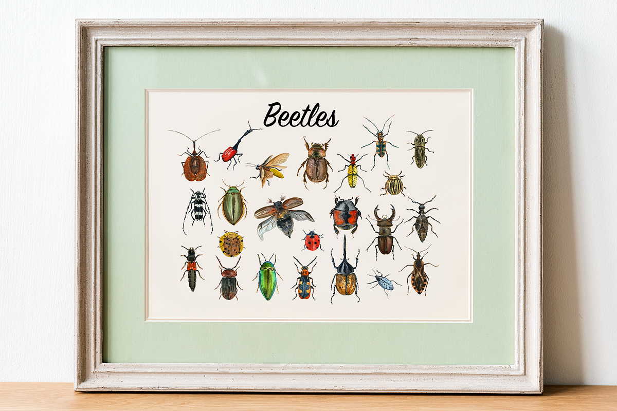 Beetles ABC Posters, an Education Illustration by Tati Bordiu