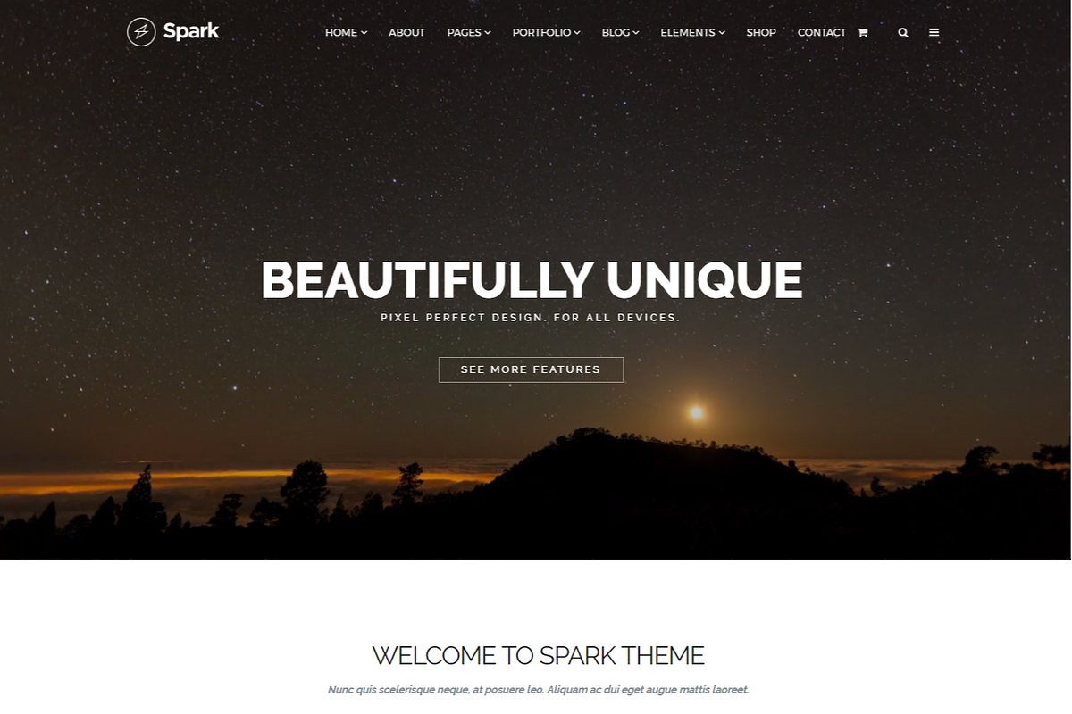 Spark Ultimate WordPress Theme & Tools