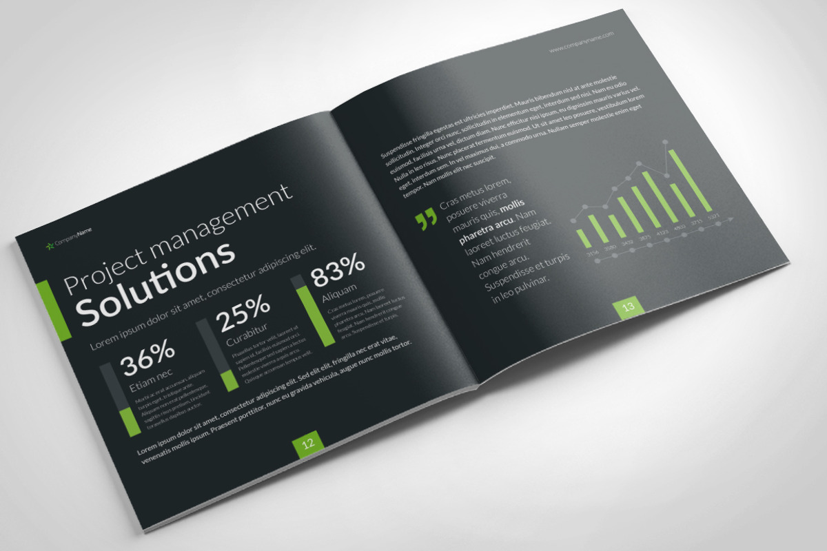 Software and Solutions Brochure, a Brochure Template by buttonpl