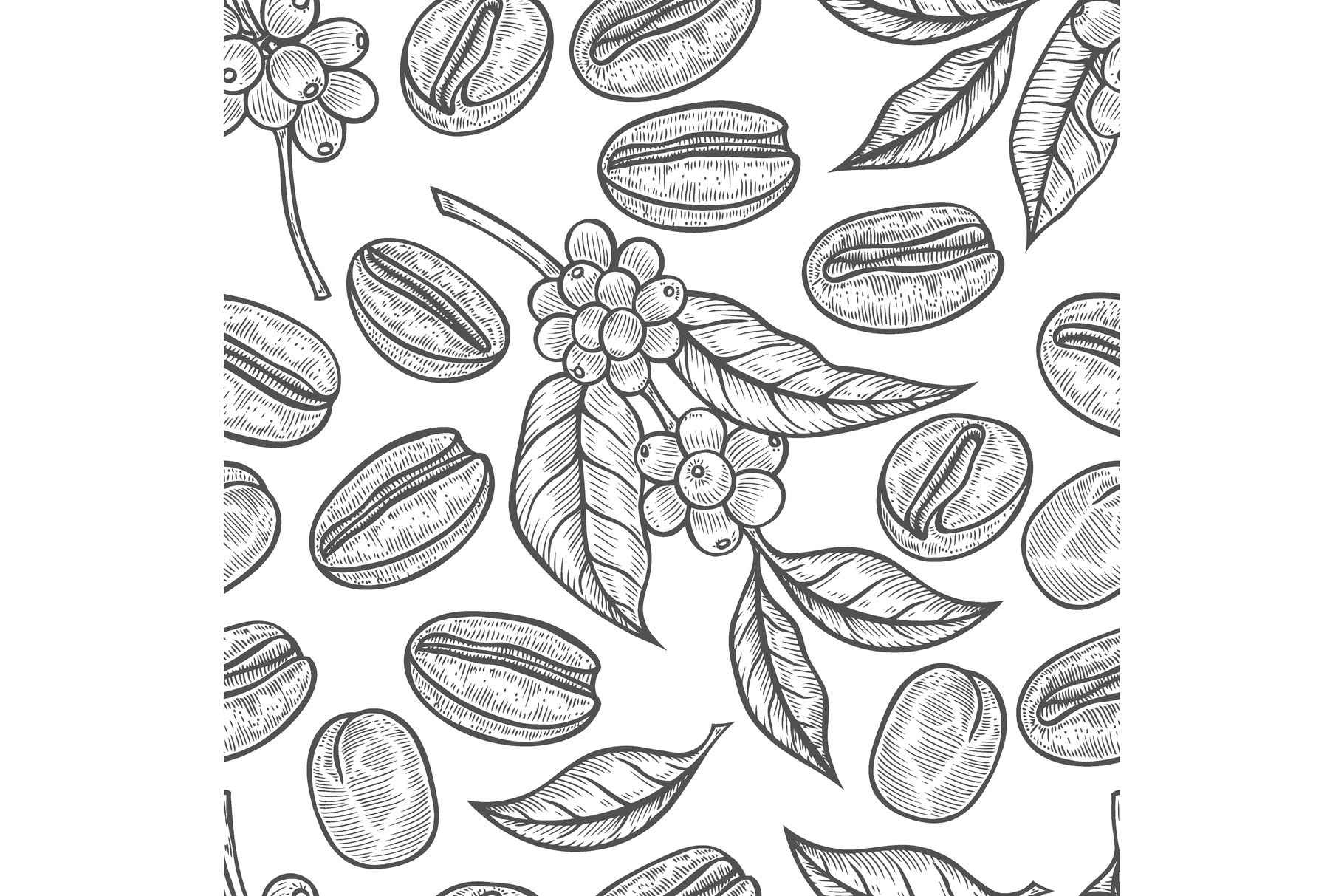 leaves and fruits of coffee, a Food Illustration by IllustrationArtShop