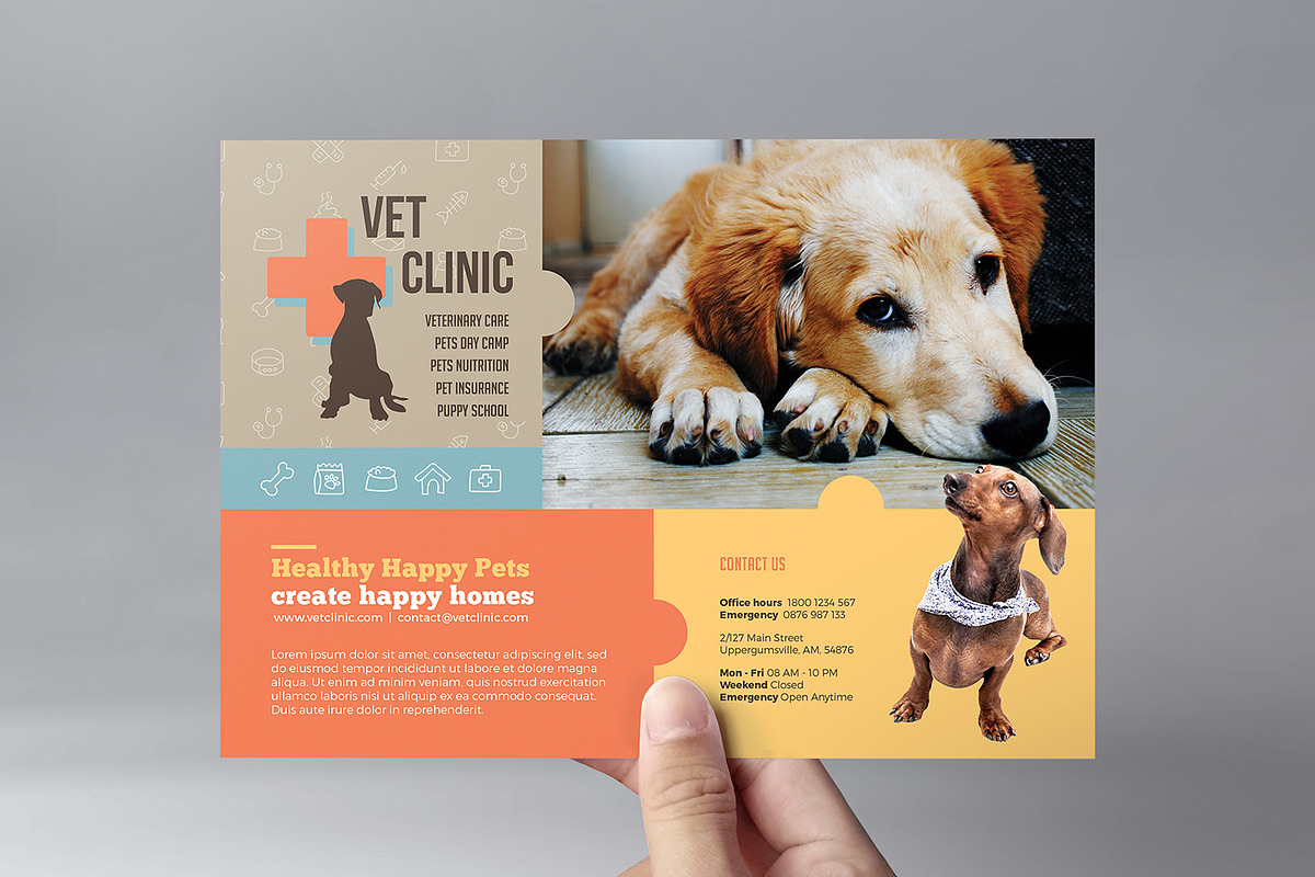 Vet Clinic Flyer Template, a Flyer Template by BrandPacks
