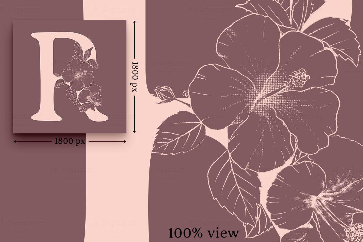 Hibiscus ClipArts & Alphabets, an Object Graphic by JSquarePresents