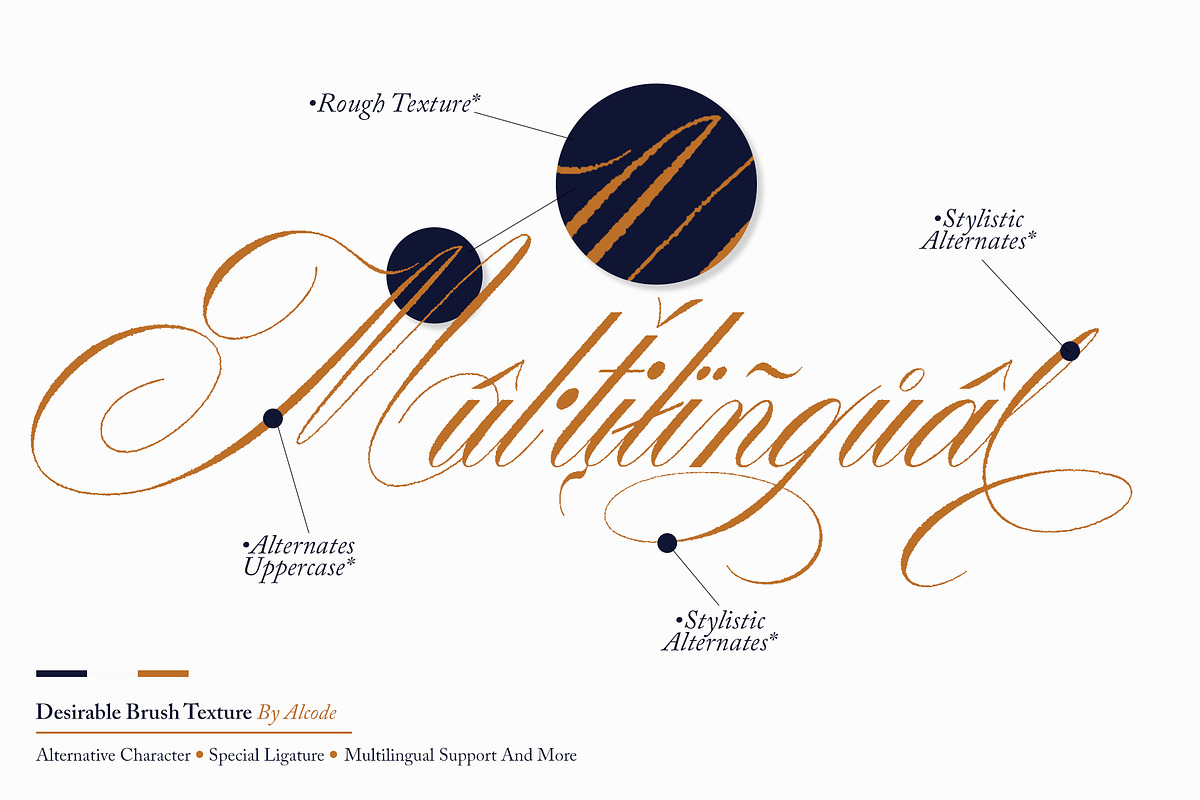 Desirable Brush Texture, a Script Font by Alcode