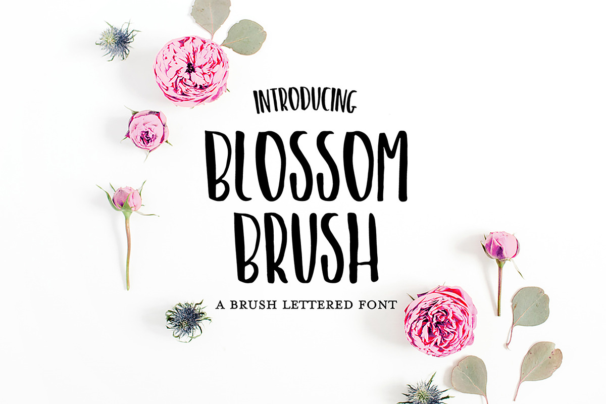 70% OFF Hand Lettered Brush Font Set, a Script Font by Blush Font Co.