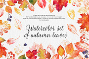 Watercolor Autumn leaves and vector.