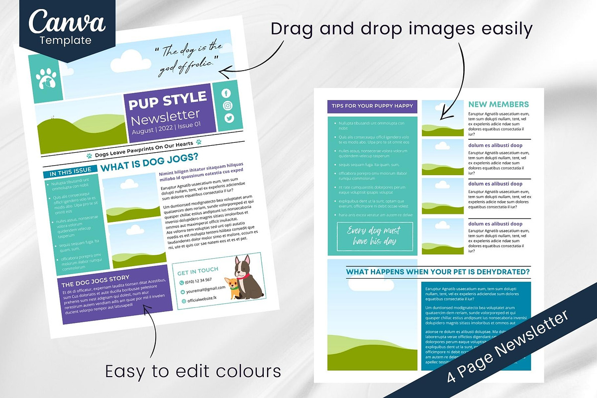 Canva newsletter template for pet dogs