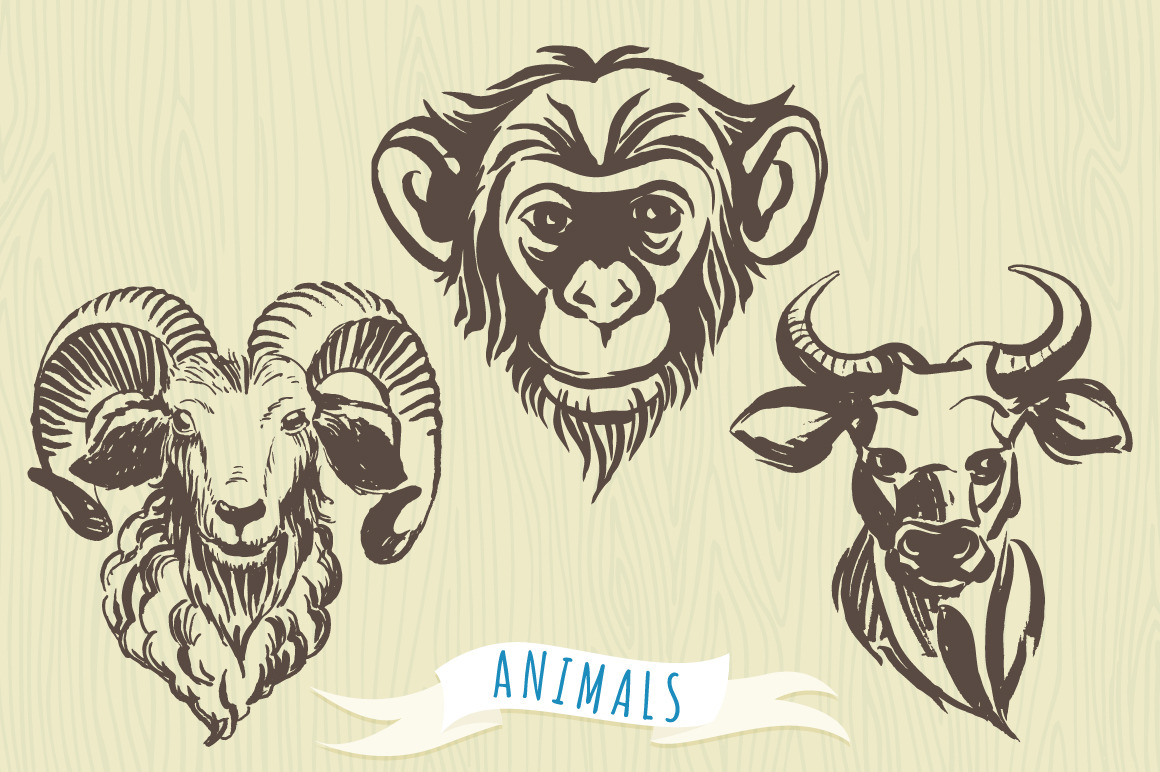 Set of hand-drawn animal's portraits, an Animal Illustration by VasilkovS