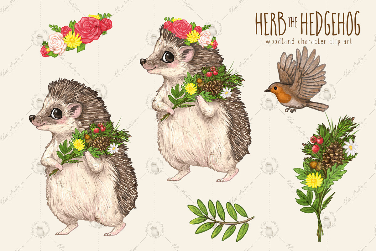 Woodland Hedgehog Clipart, an Animal Illustration by Clip Art by Elise M