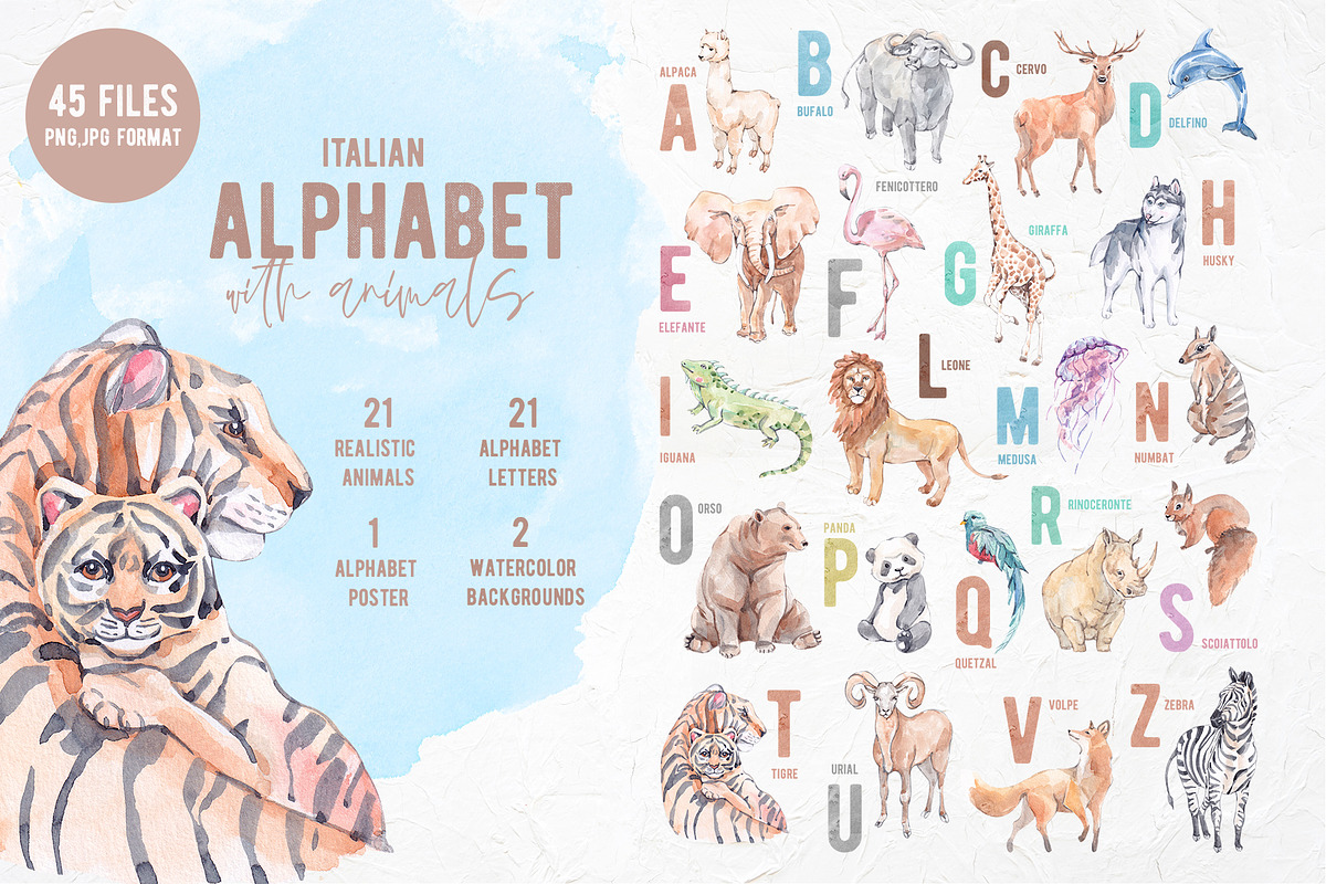 Alphabets ABC. Watercolor BUNDLE, an Animal Illustration by VerAna