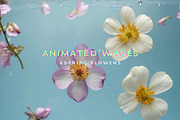 Animated Water Wave & Spring Flowers, a Background Graphic by by ...