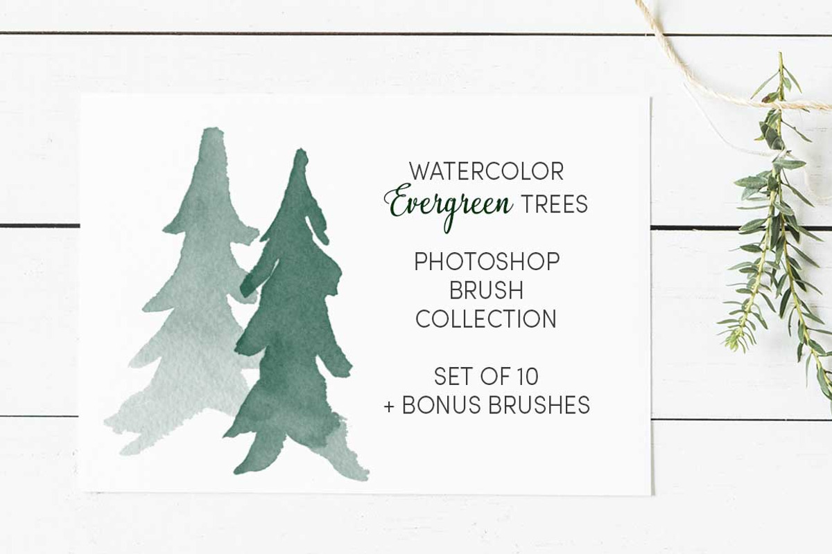 Watercolor Evergreen Trees Brush Set, a Brush Add-On by Chelsea Bromley